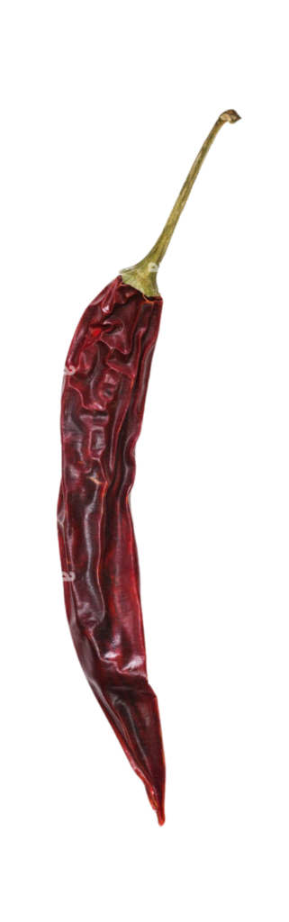 Red Chilli - WRINKLED 273 - Kahan Impex