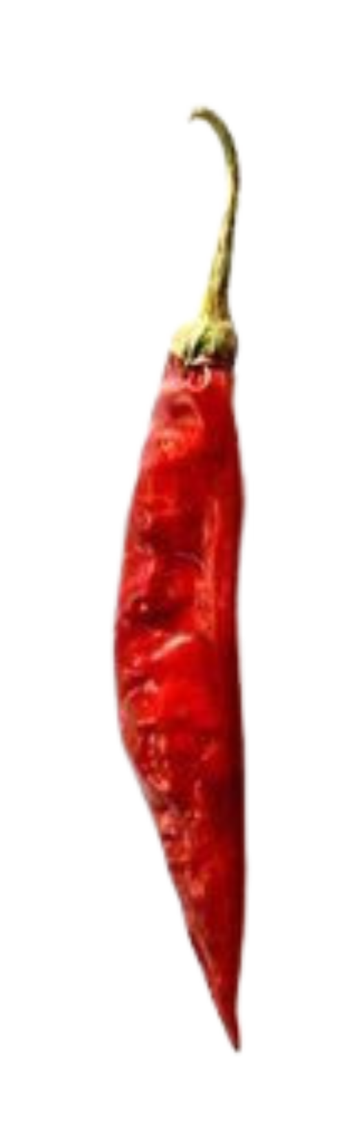 Red CHILLI -334/S4/SANNAM/S10 - Kahan Impex